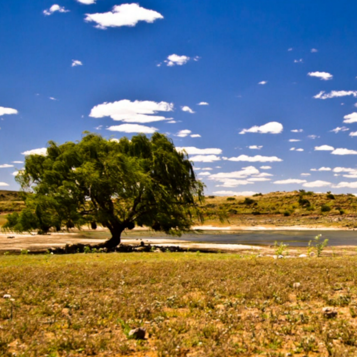 A big step for renewable energy in South Africa - JUWI